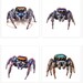 Arachnid Bugs | Spider Clip Art | Spider Watercolor Clipart Bundle ...
