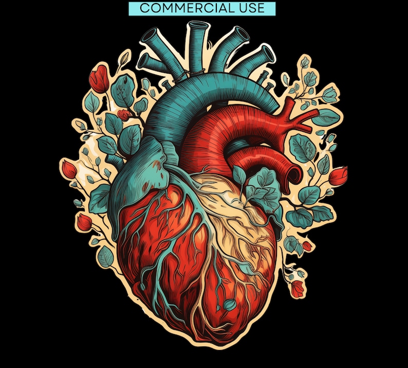 Floral Anatomical Heart | Medical Clip Art | Anatomical Heart PNG ...