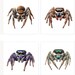 Jumping Spider Clipart | Watercolor Arachnid Bugs (PNG, Commercial Use ...