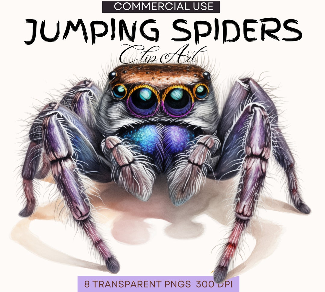 Arachnid Bugs | Spider Clip Art | Spider Watercolor Clipart Bundle ...