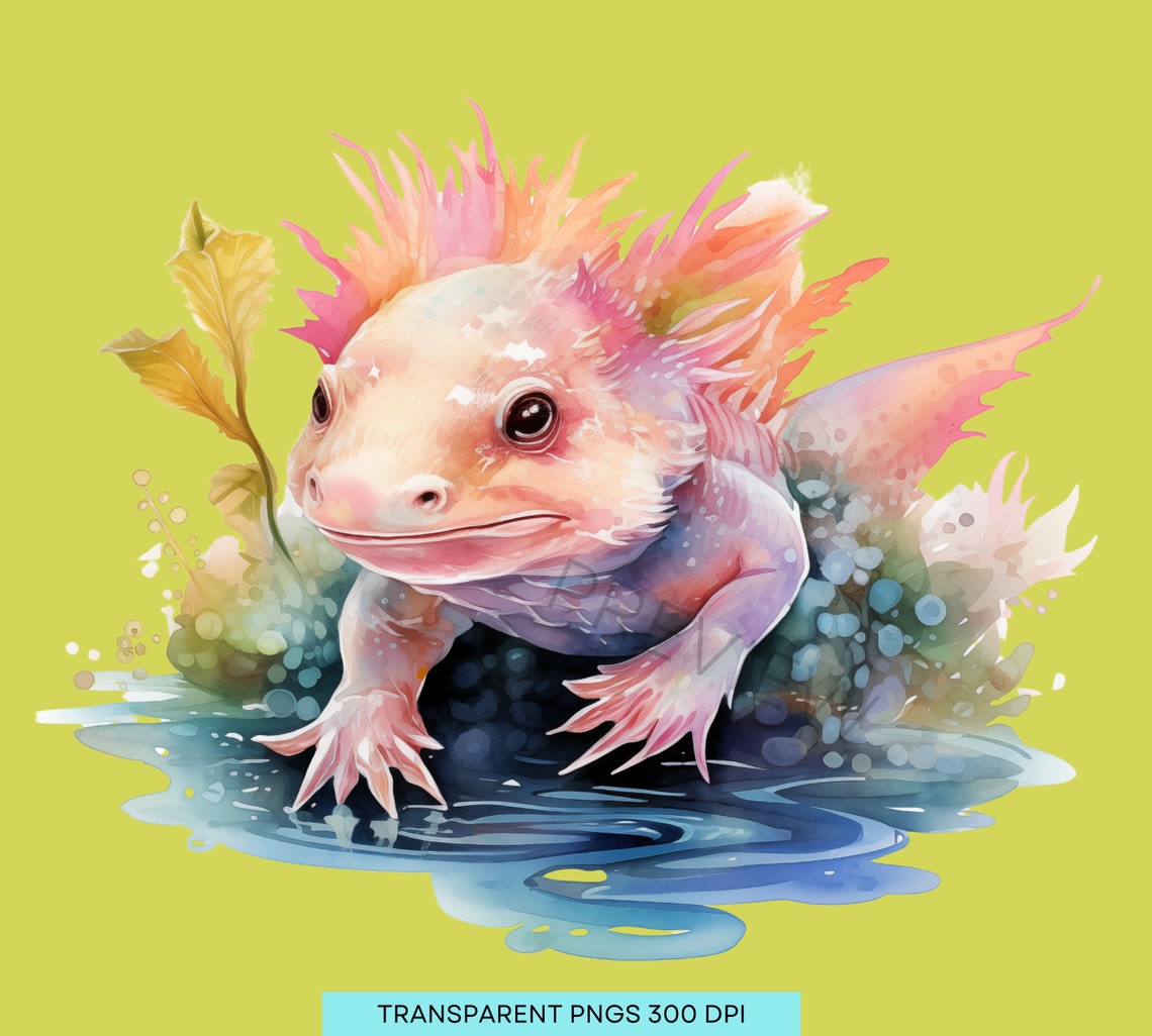 Axolotl PNG Digital Download Birthday Gift Her Cute Axolotl ...