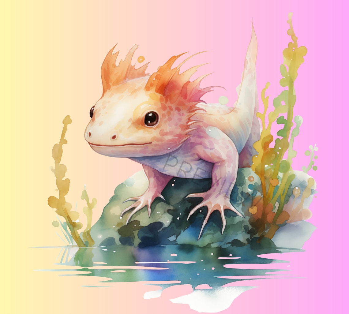 Axolotl PNG Digital Download Birthday Gift Her Cute Axolotl ...
