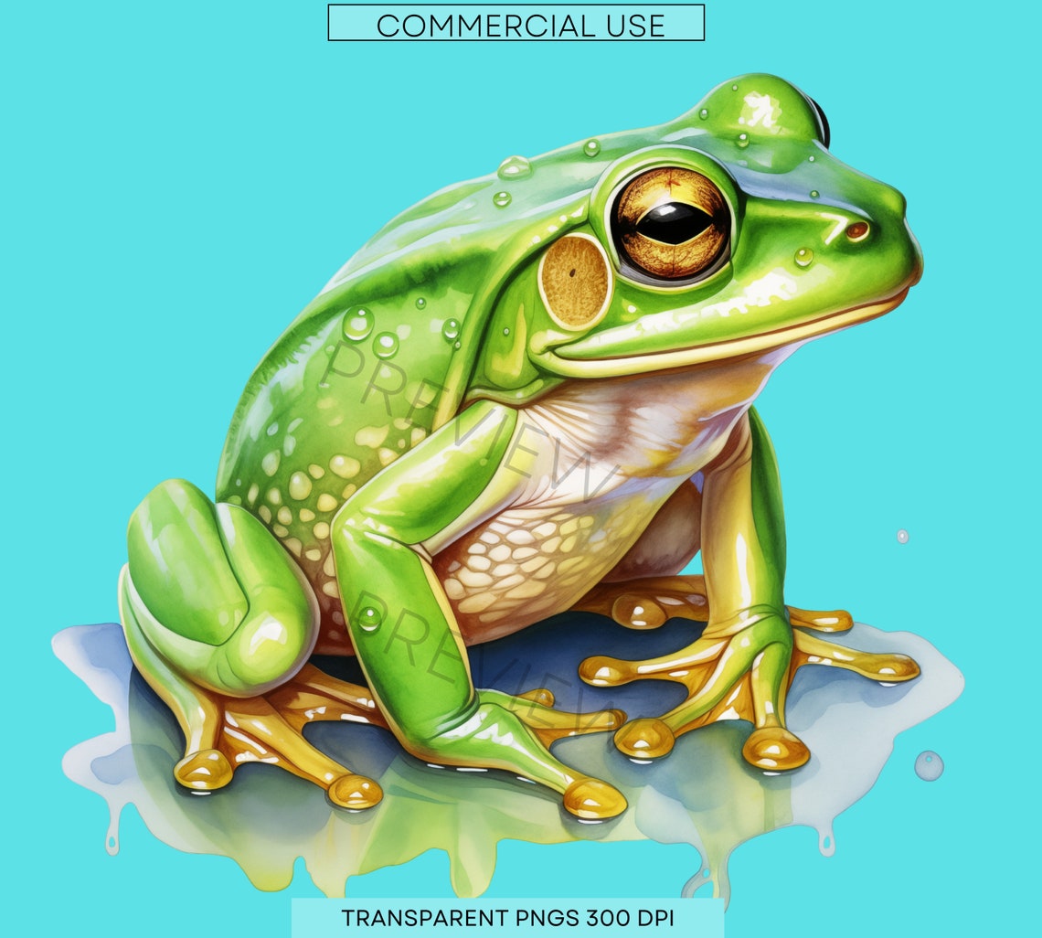 Frogs Clip Art Beautiful Frog PNG Green Frog Designs Digital Frog Art ...