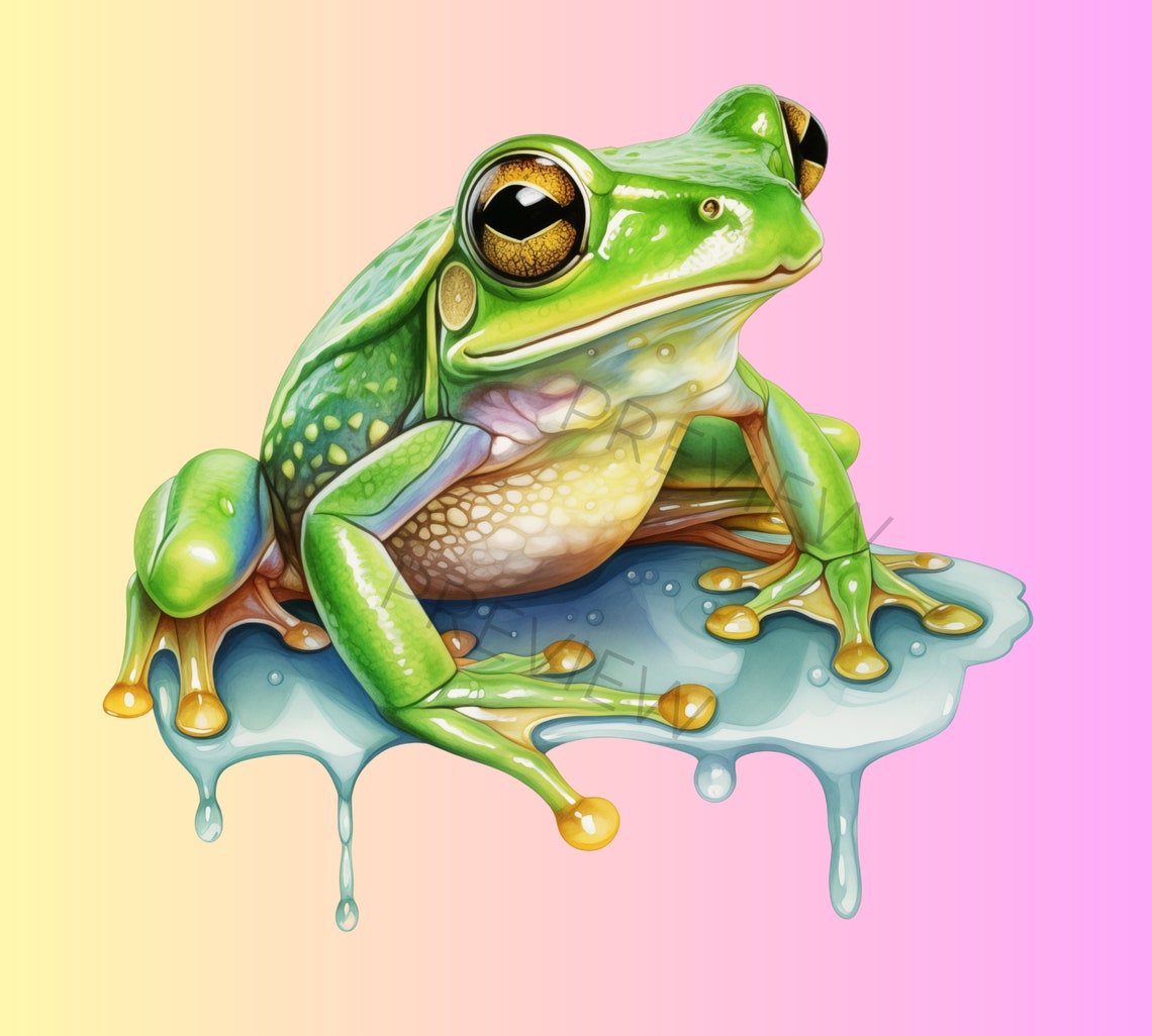 Frogs Clip Art Beautiful Frog PNG Green Frog Designs Digital Frog Art Commercial Use Reptile Art ...