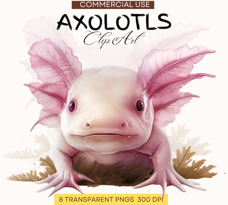 Axolotl PNG | Digital Download | Birthday Gift Her | Cute Axolotl ...