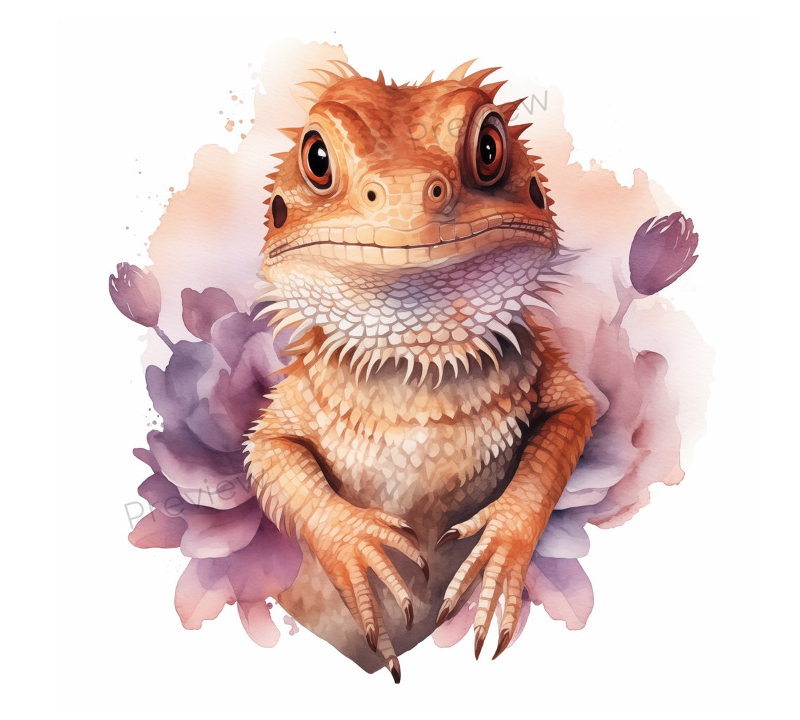 Bearded Dragon PNG | Gecko Png | Lizard Love | Cute Gecko Clipart | 12 ...