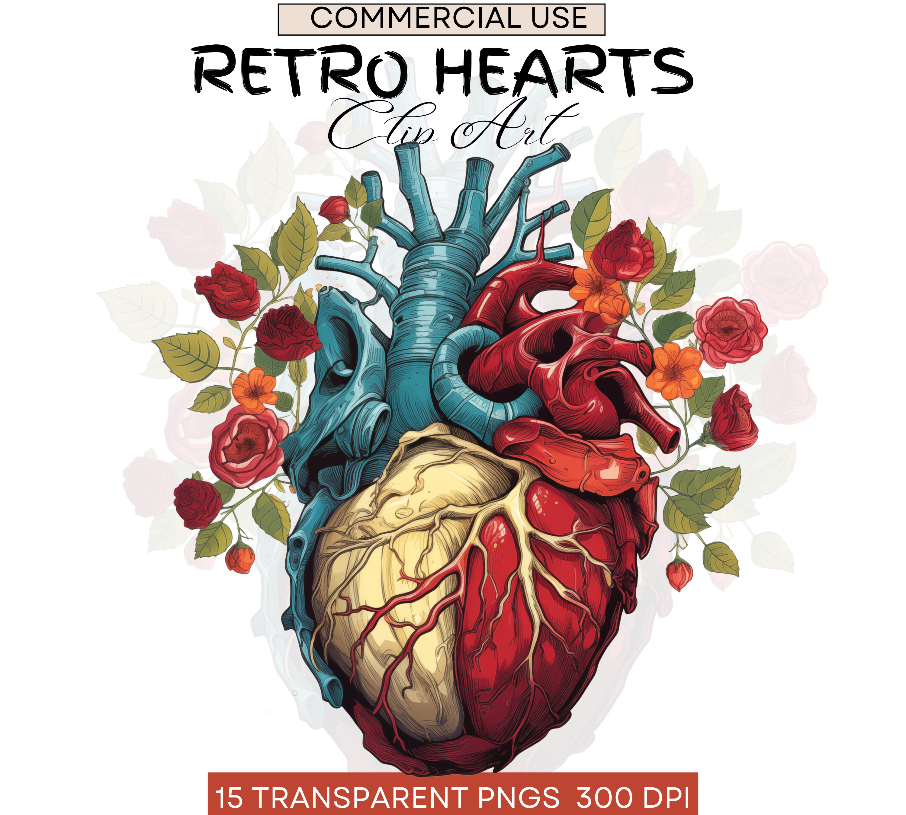 Floral Anatomical Heart | Medical Clip Art | Anatomical Heart PNG ...