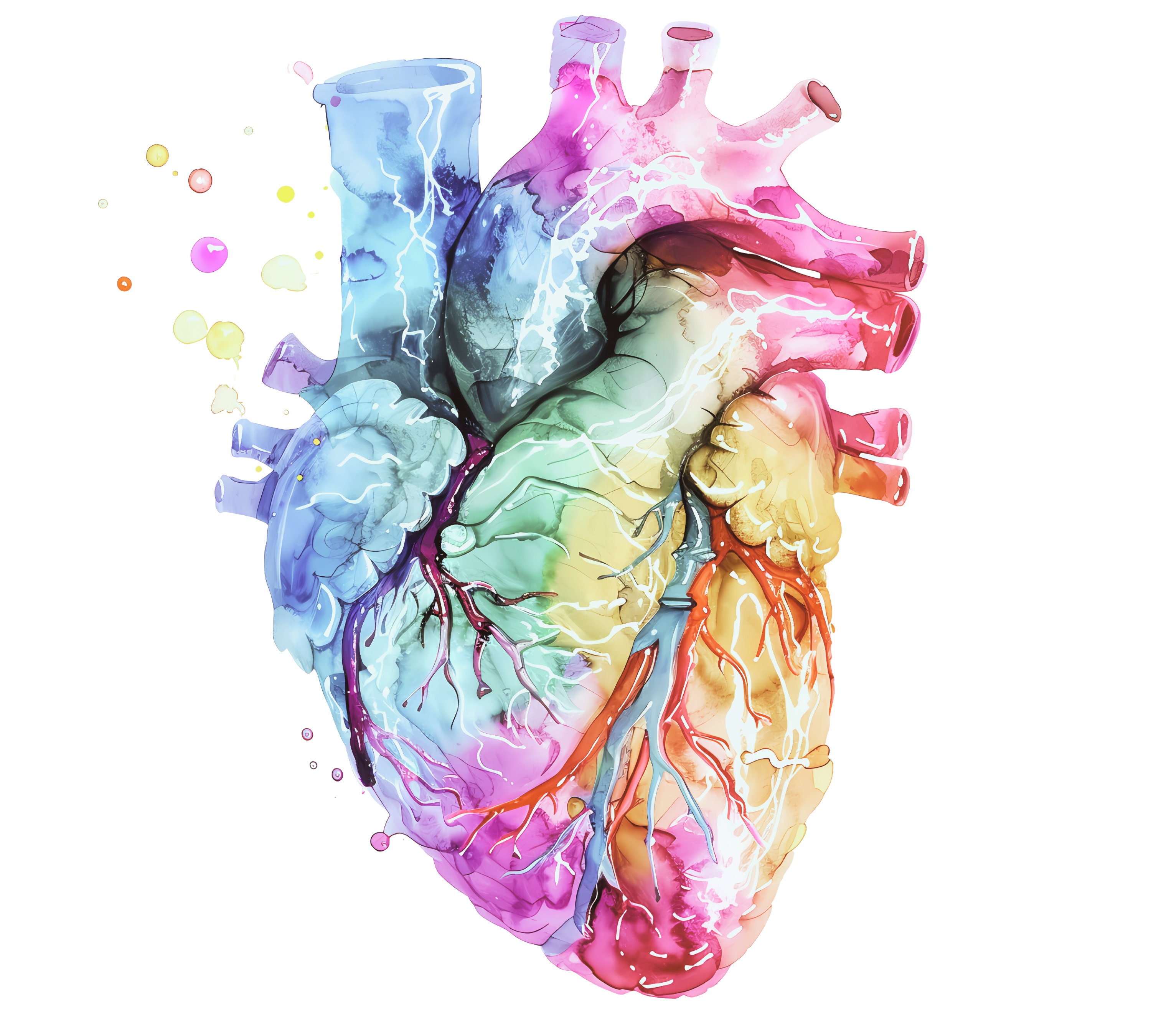 Light Pastel Human Heart Anatomy Clipart Heart Clipart Medical Graphics ...