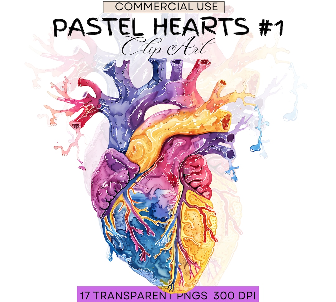 Light Pastel Human Heart | Anatomy Clipart | Heart Clipart | Medical ...