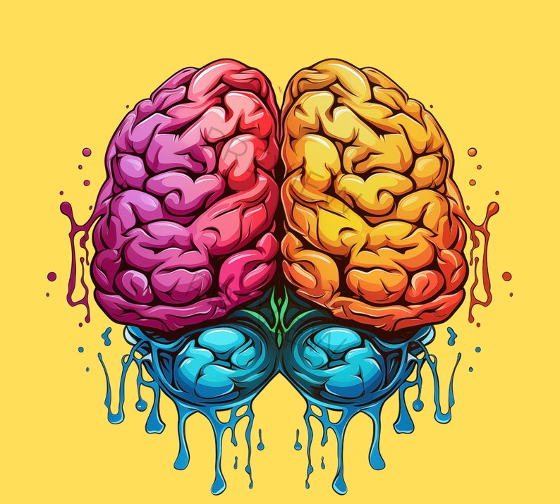 Groovy Human Brain 2 Anatomy Clipart Brain Clipart Medical Graphics ...