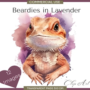 Bearded Dragon PNG | Gecko Png | Lizard Love | Cute Gecko Clipart | 12 ...