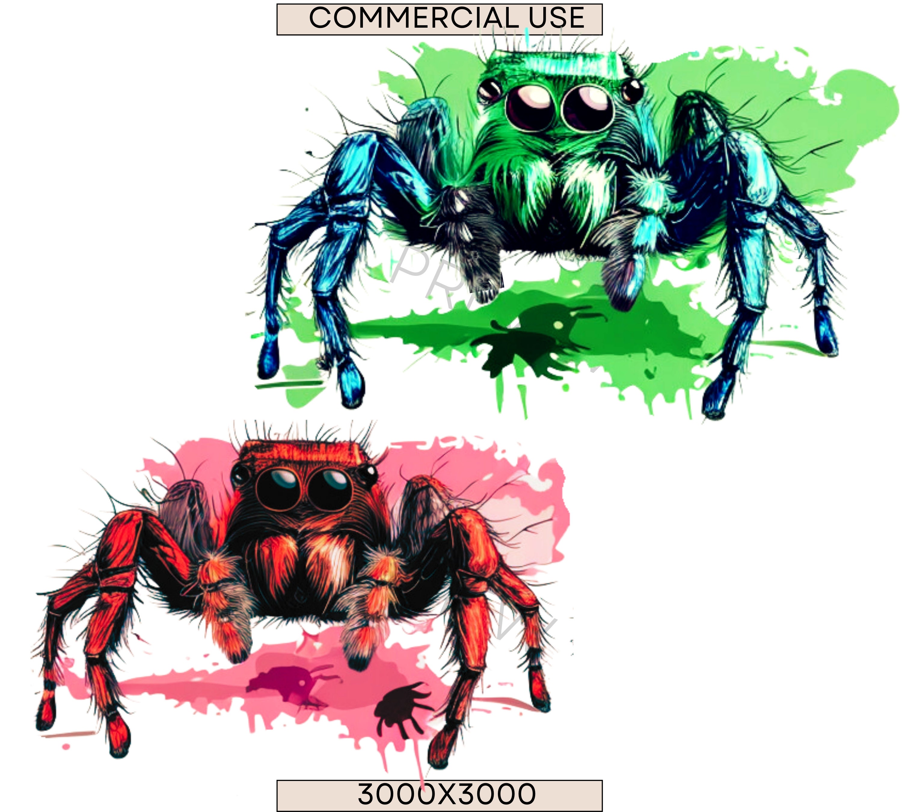 Watercolor Spider Clip Art | Cute Bug Png | Jumping Spider Clipart ...