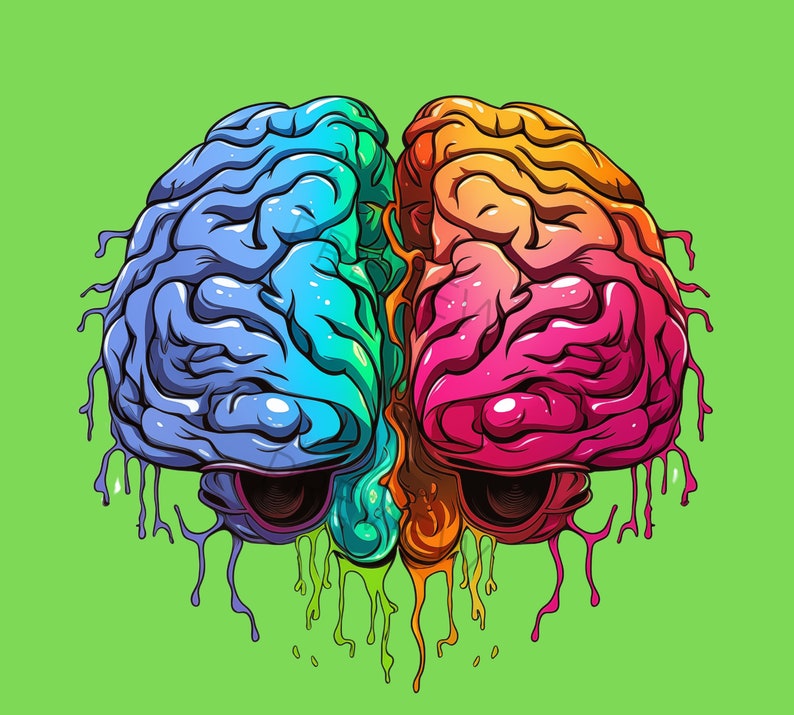 Groovy Human Brain 2 Anatomy Clipart Brain Clipart Medical Graphics ...