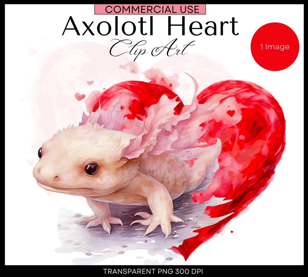 Cute Axolotls Clipart | Cute Animal | Axolotl Png | Sea Animal Graphics ...
