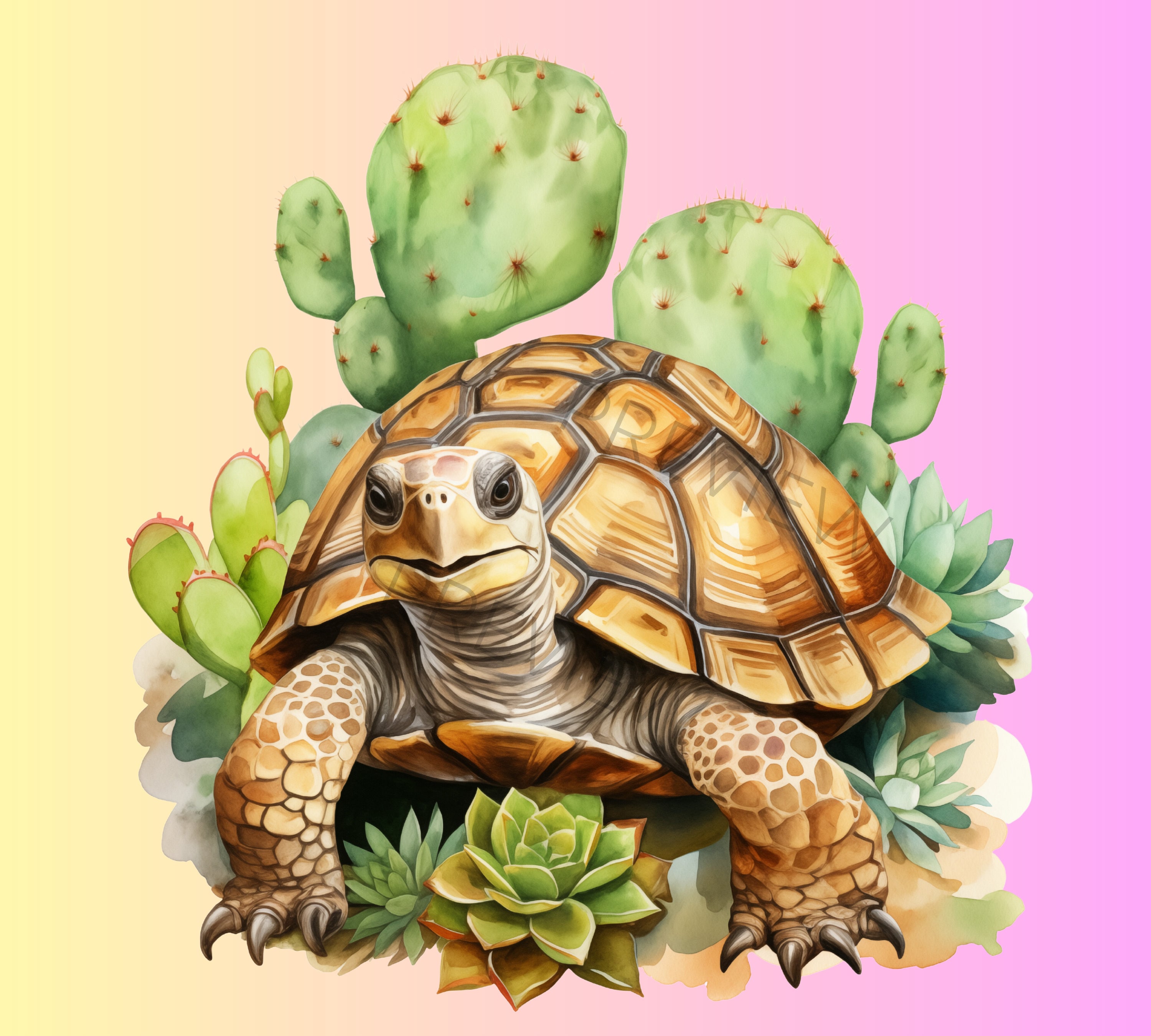 Clip Art Gift Idea Turtle PNG Digital Download Tortoises Designs ...