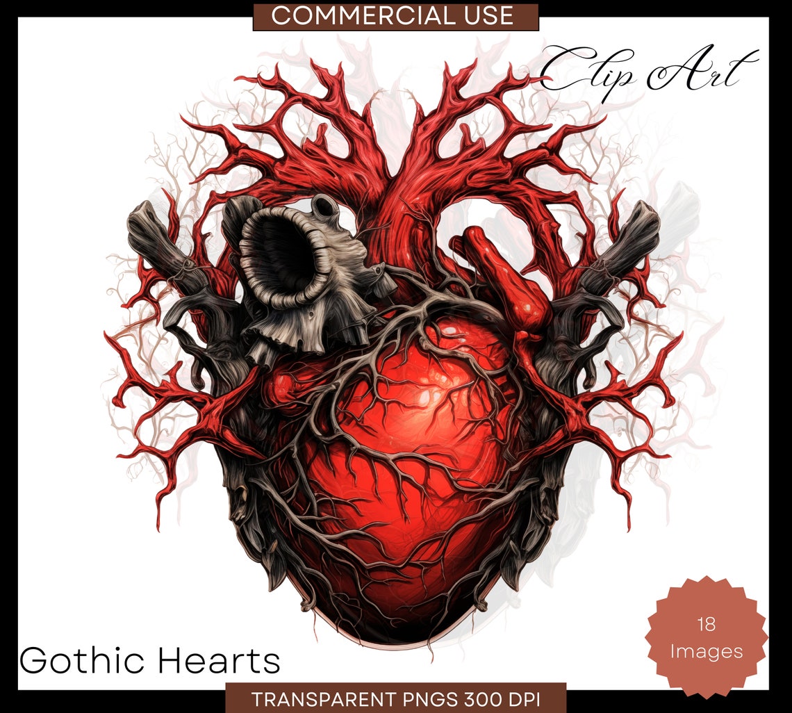Gothic Anatomy Heart Clipart: Medical PNG Graphics (commercial Use) - Etsy