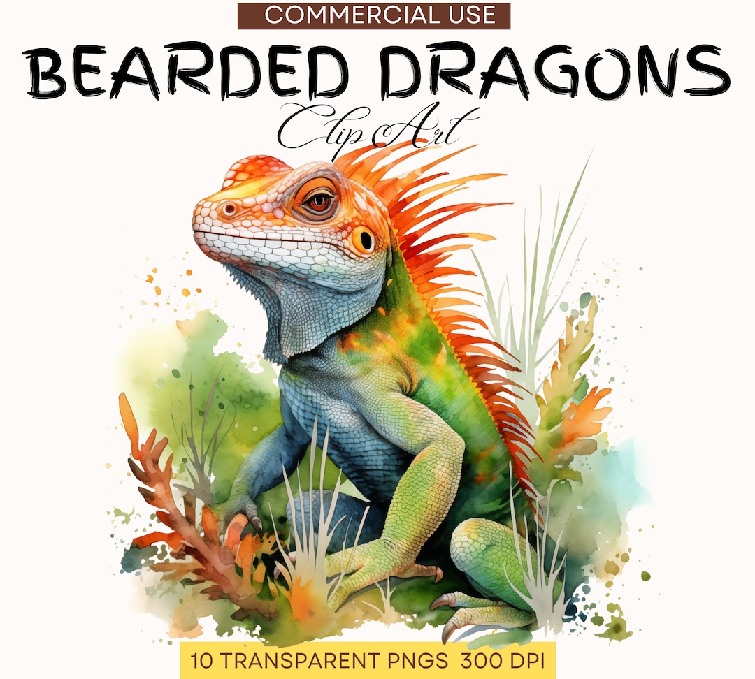 Bearded Dragon Clipart: Watercolor Lizard PNG Files, Commercial Use ...