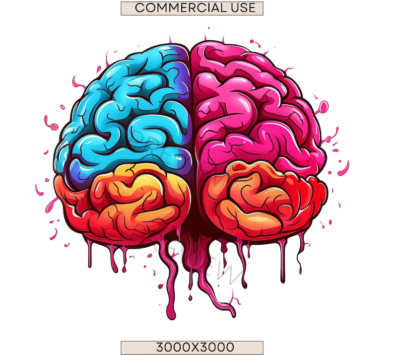 Groovy Human Brain 2 Anatomy Clipart Brain Clipart Medical Graphics ...