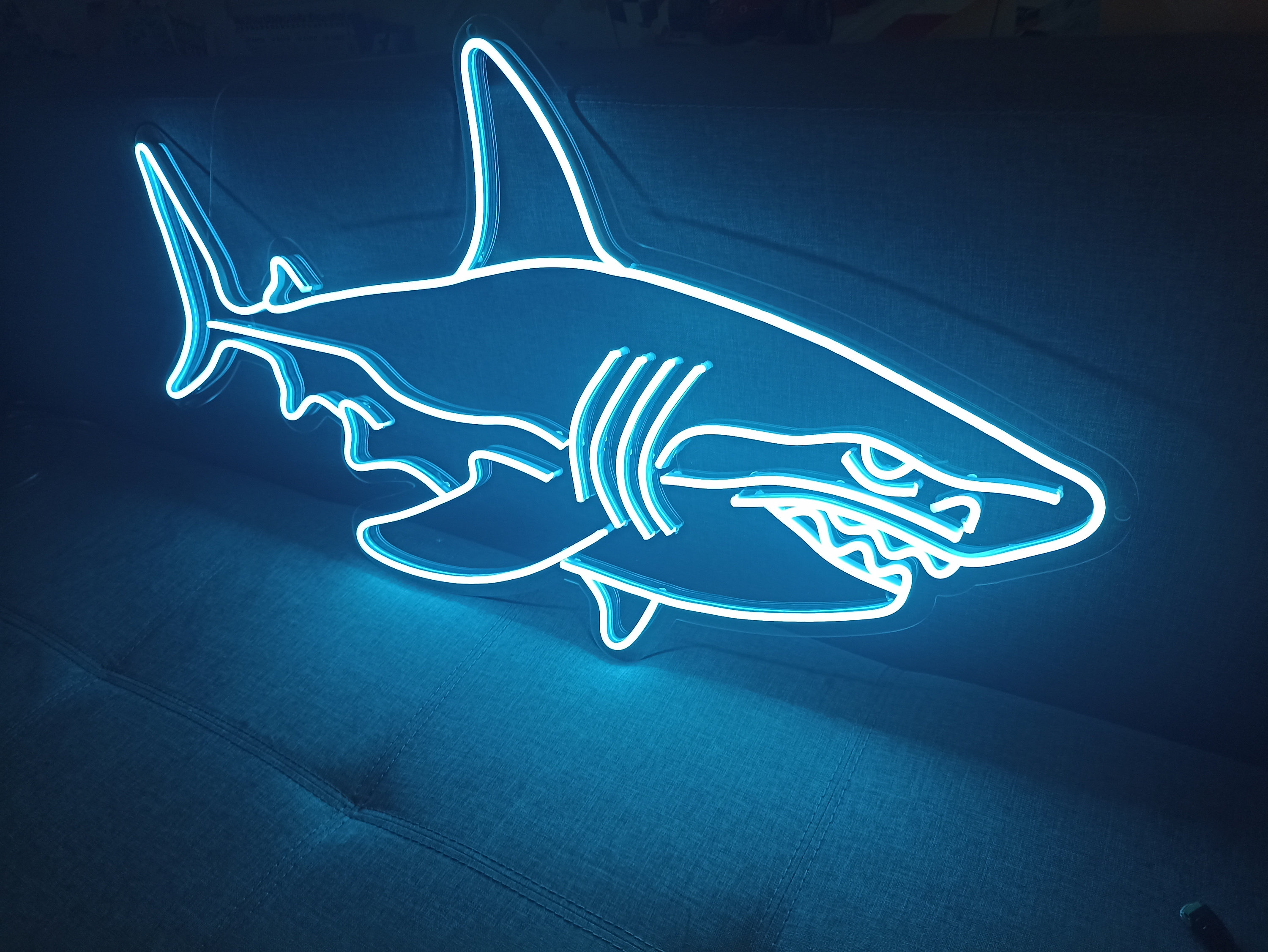 Neon Shark Sign, Shark-shaped Neon Sign, Neon Shark Light, Shark Neon ...