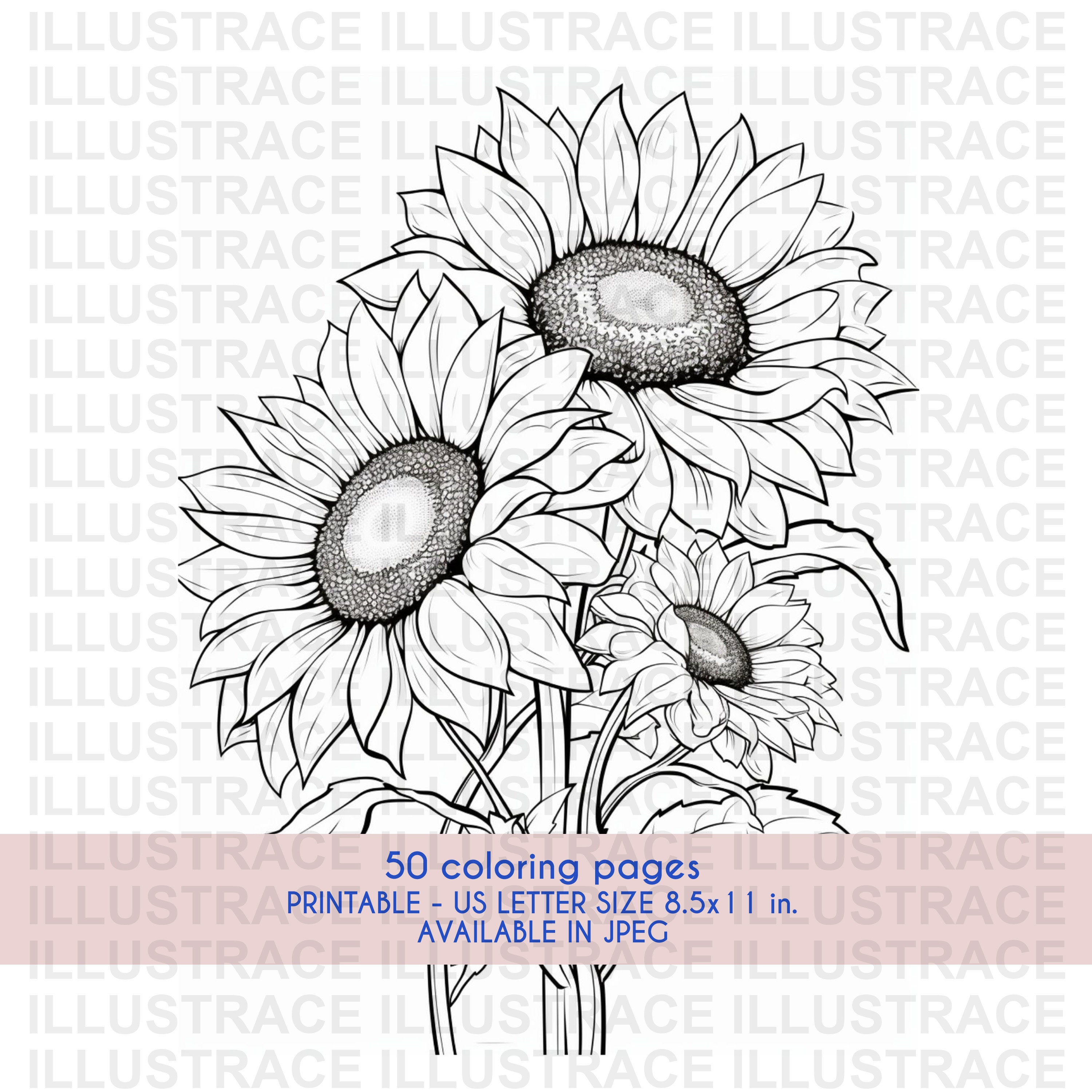 50 Flowers Coloring Pages, Adult Coloring Book, Coloring Sheet, Flower ...