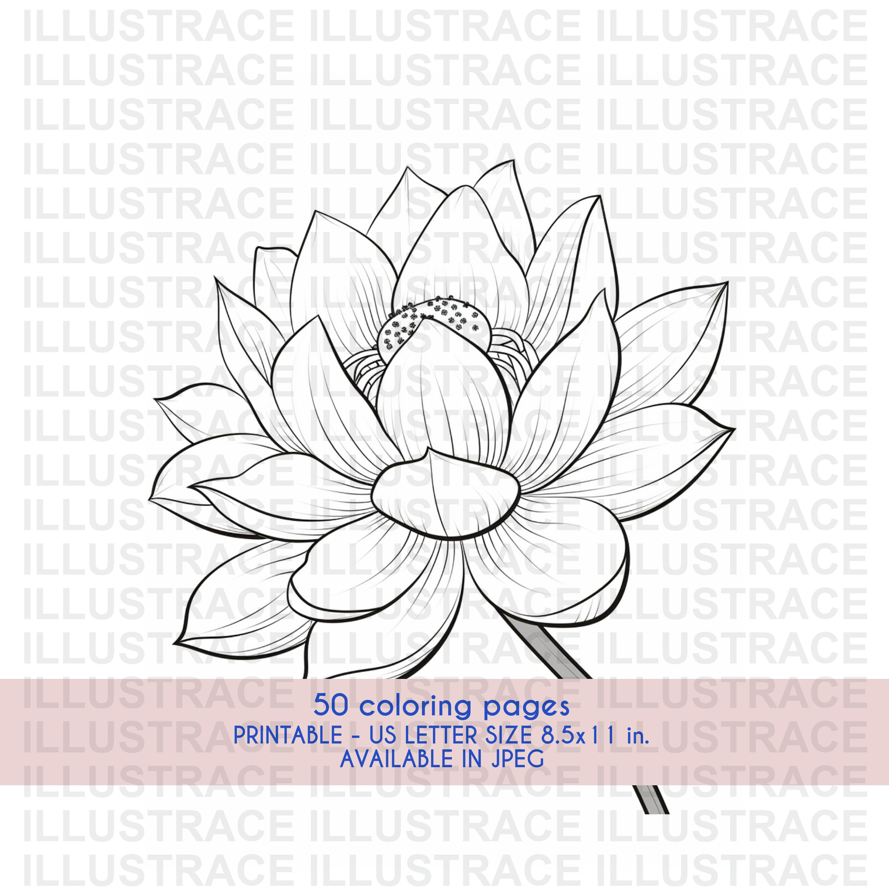50 Flowers Coloring Pages, Adult Coloring Book, Coloring Sheet, Flower ...