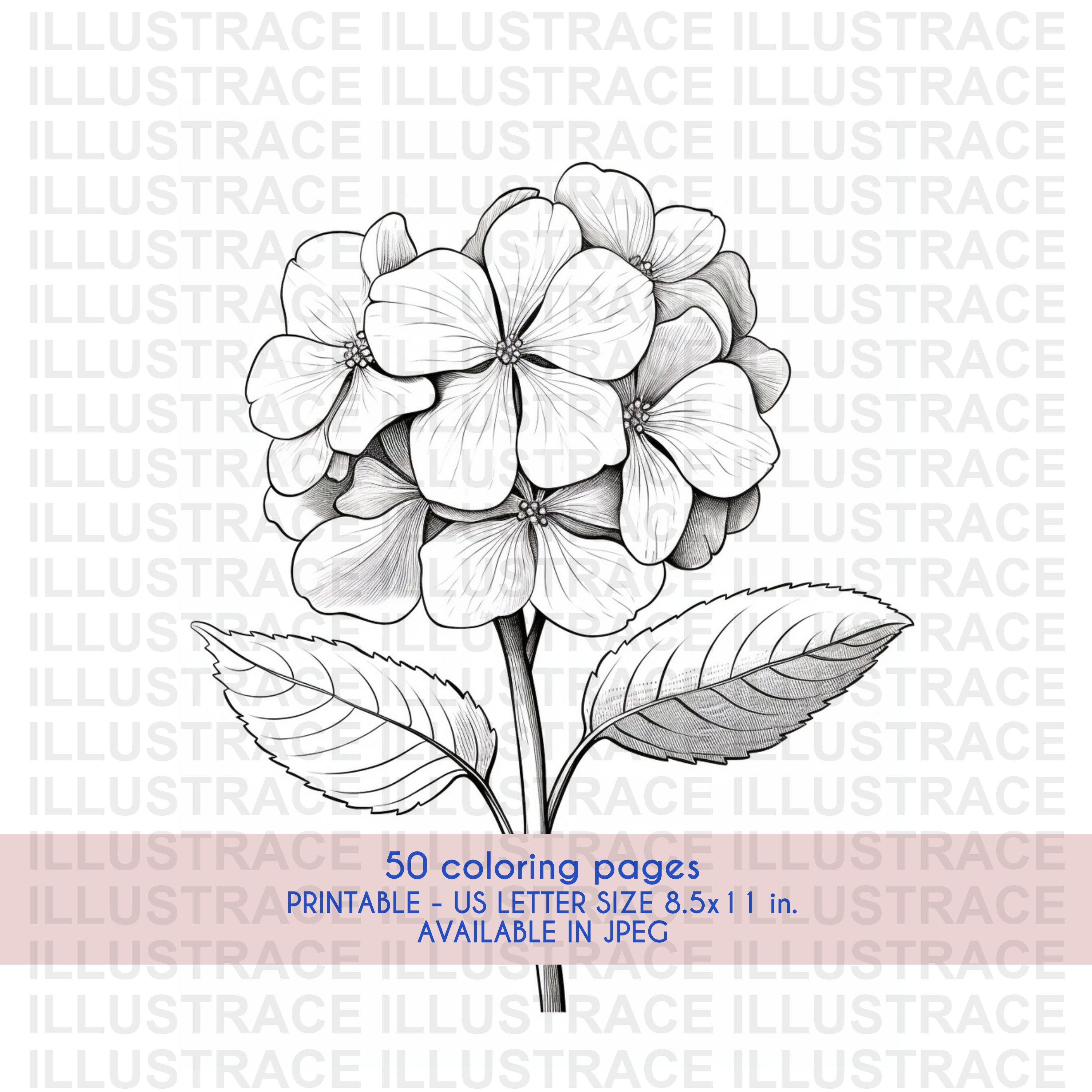 50 Flowers Coloring Pages, Adult Coloring Book, Coloring Sheet, Flower ...