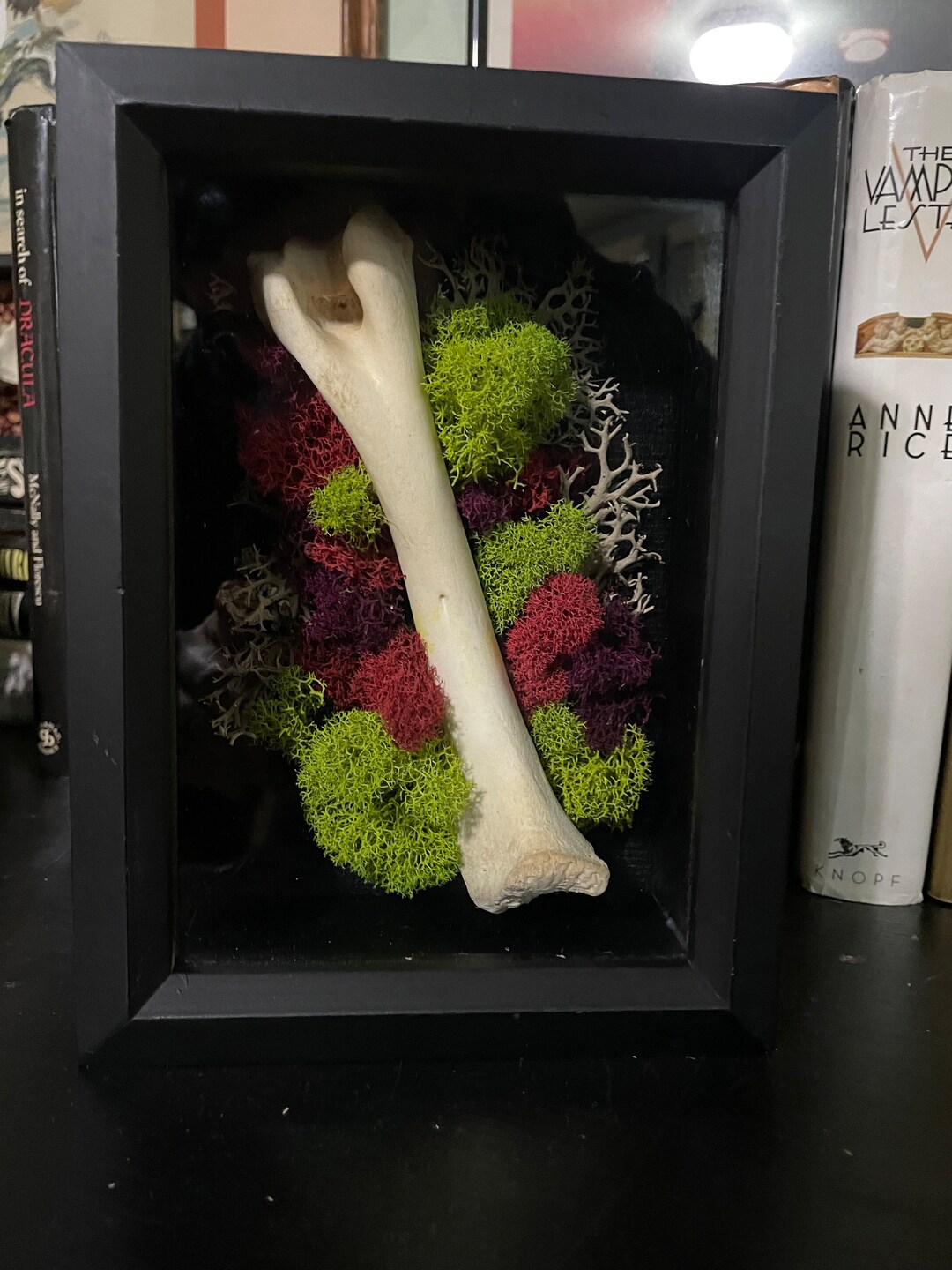 Deer Bone in Moss Shadow Box - Etsy
