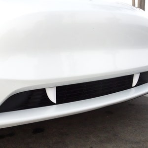 Vampire Fangs for Tesla Model Y - Etsy