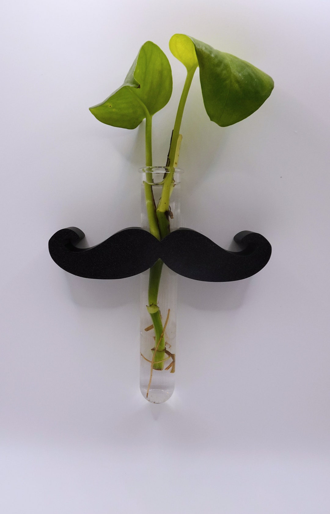 Mustache Magnetic Propagation Station - Etsy