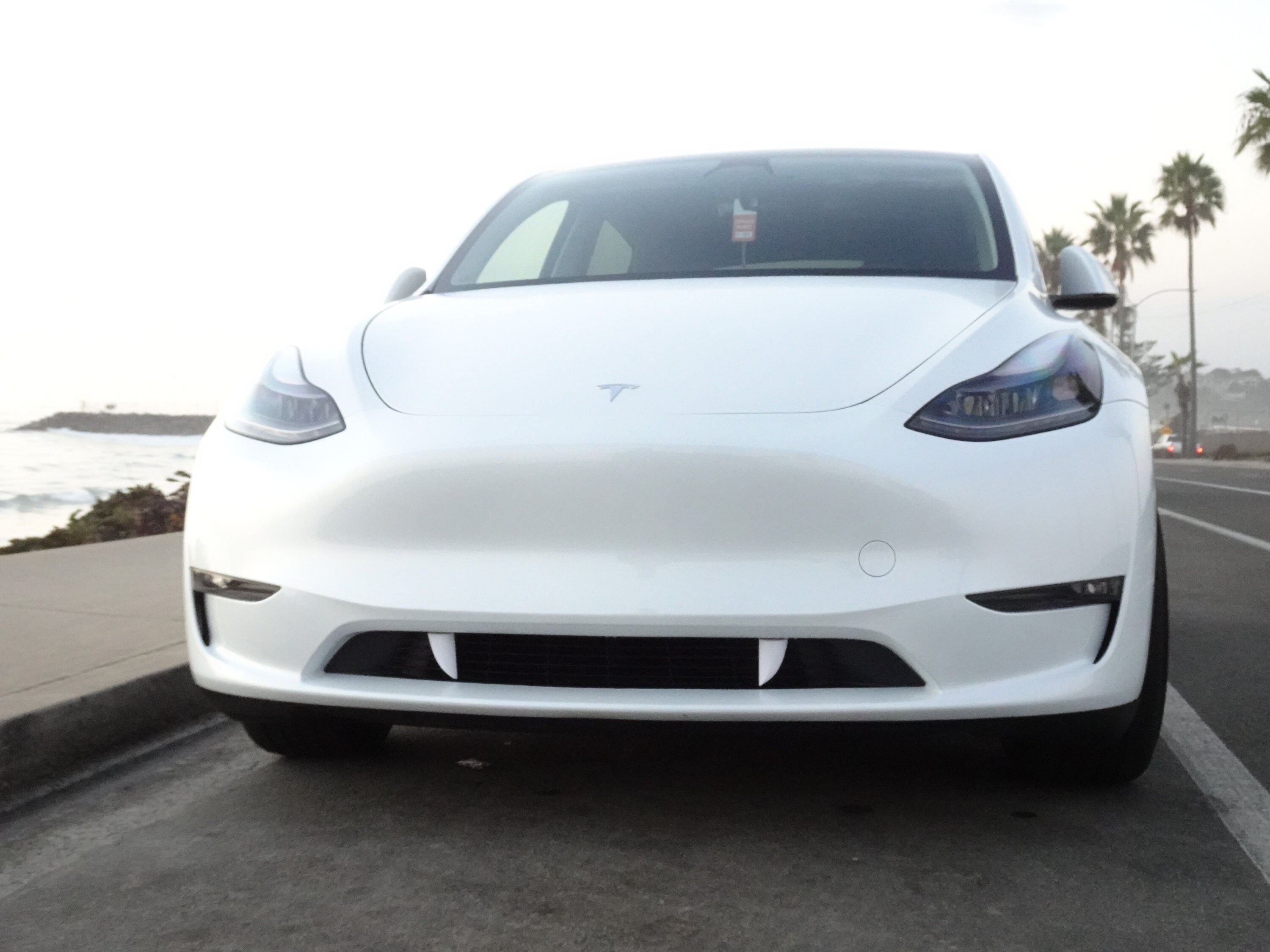 Vampire Fangs for Tesla Model Y - Etsy