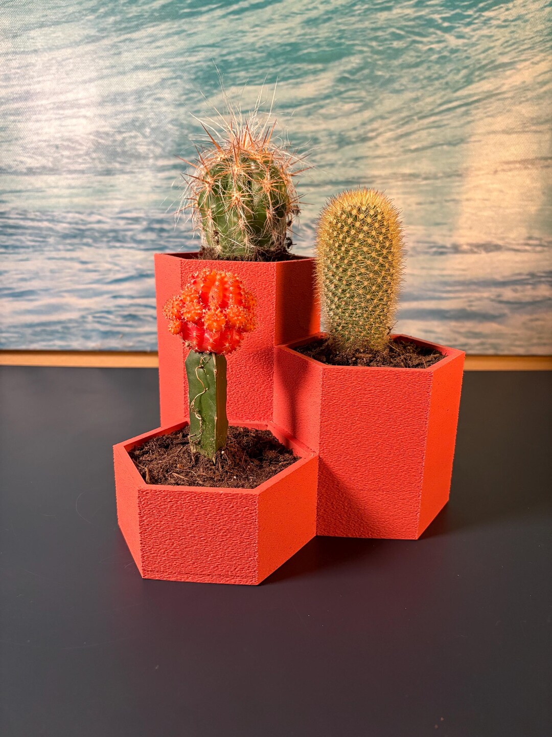 3-plant Hexagonal Planter - Etsy