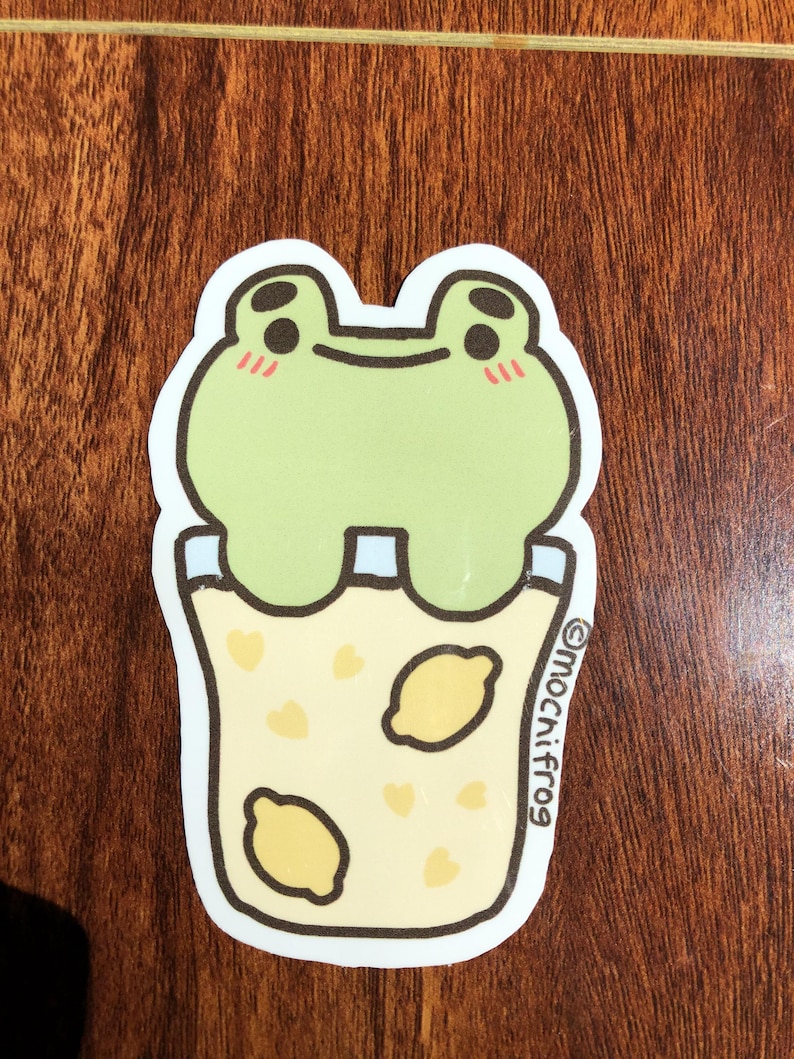 Summer Frog Stickers (set of 2 Stickers) - Etsy