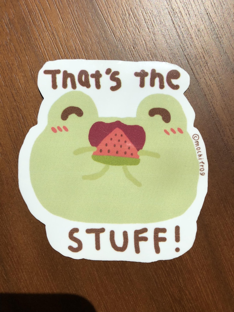 Summer Frog Stickers (set of 2 Stickers) - Etsy
