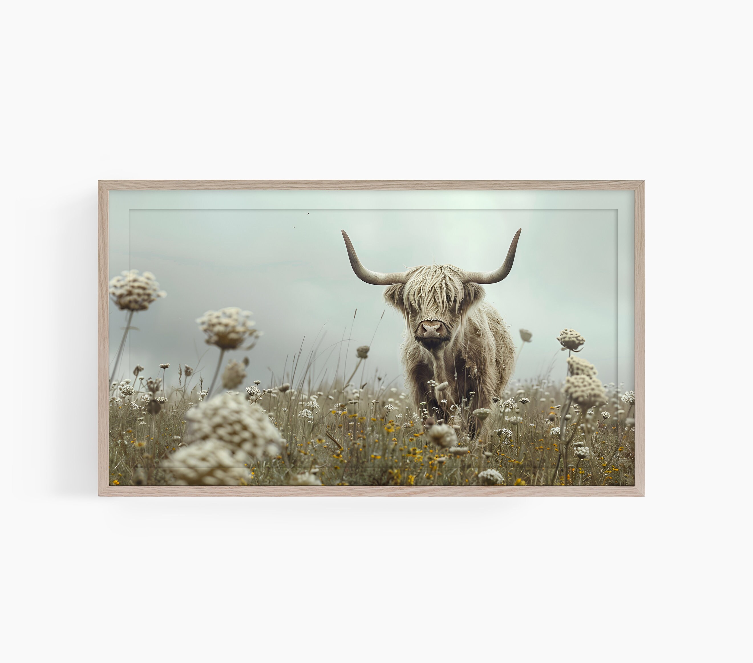 Highland Cow Frame Tv Art, Samsung Frame TV Art, Country Frame Tv Art ...