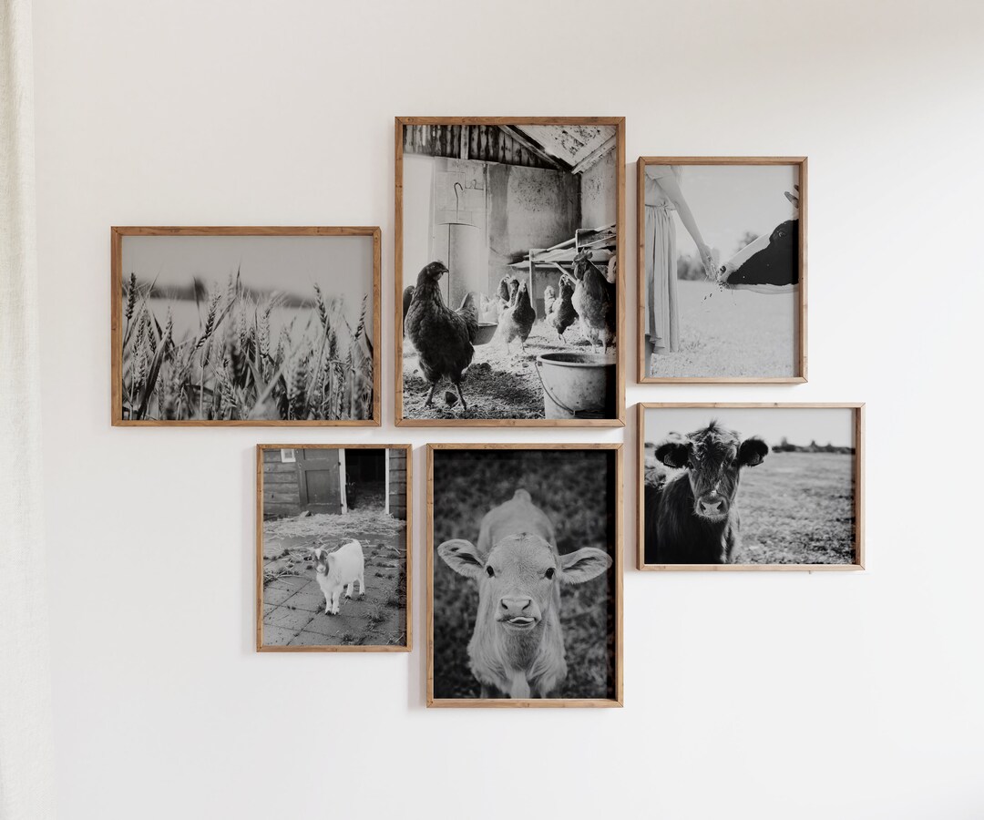 Farmhouse Collection Wall Art, Black & White Set of 6, Rustic Wall Art ...