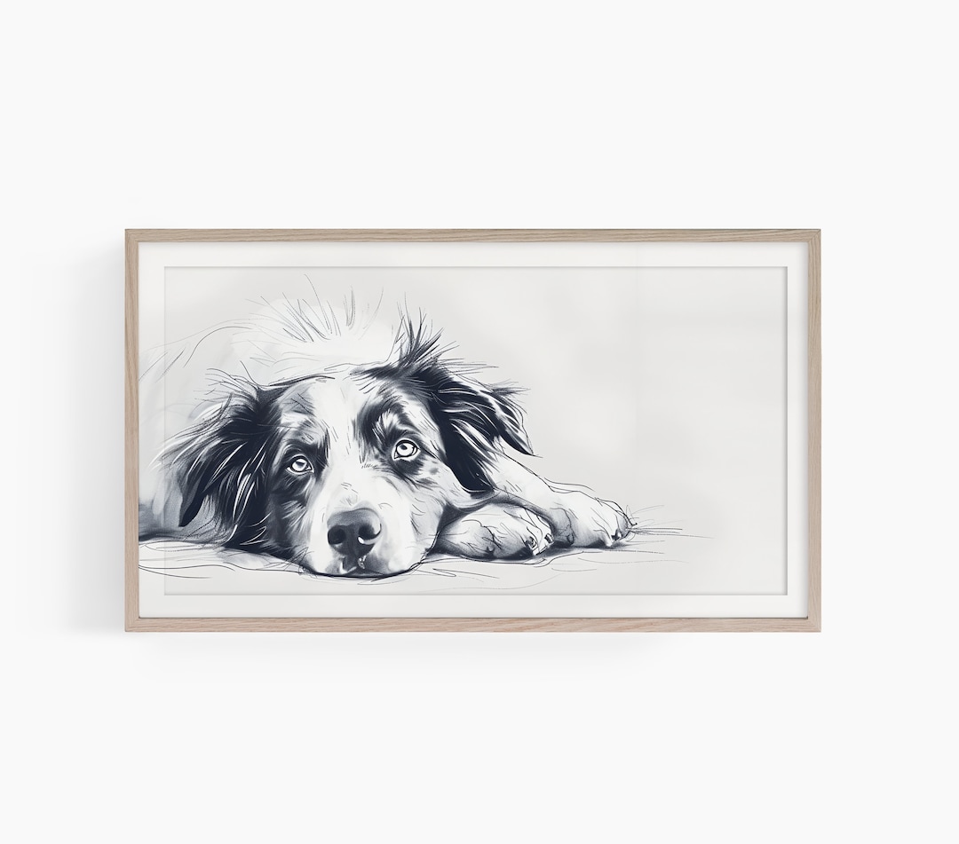 Australian Shepherd Frame Tv Art, Samsung Frame Tv Art, Digital ...
