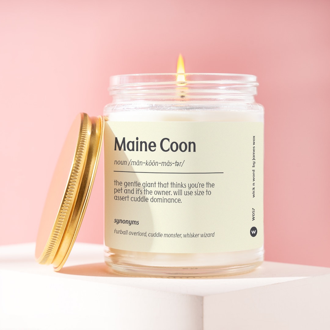 Maine Coon Gift Maine Coon Definition Candle Gift for Maine Coon Owners ...