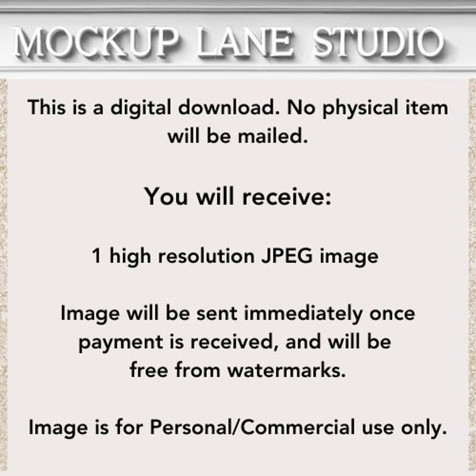 Bella Canvas 3001Y Size Chart Mockup, T-shirt Youth Size Guide, BC3001Y ...