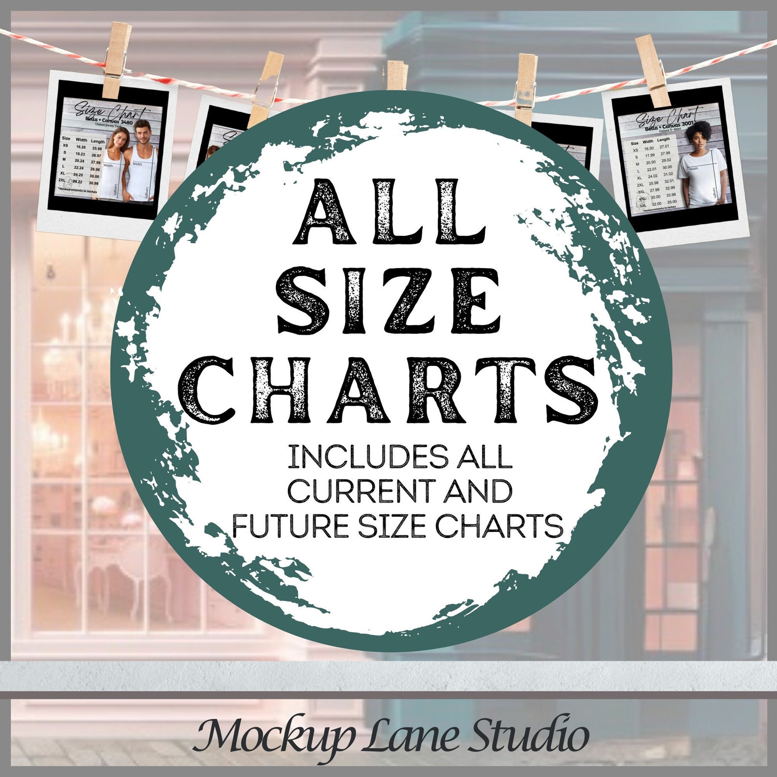 Size Chart Bundle, Whole Shop Size Chart Bundle, BC 3001, BC Chart ...