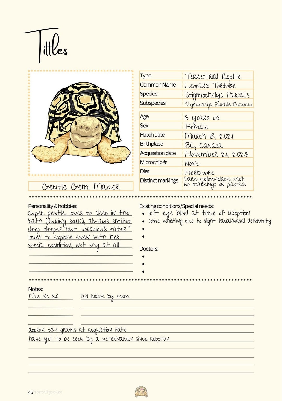 Tortoise Husbandry Trackers - Digital Printable Templates - Etsy