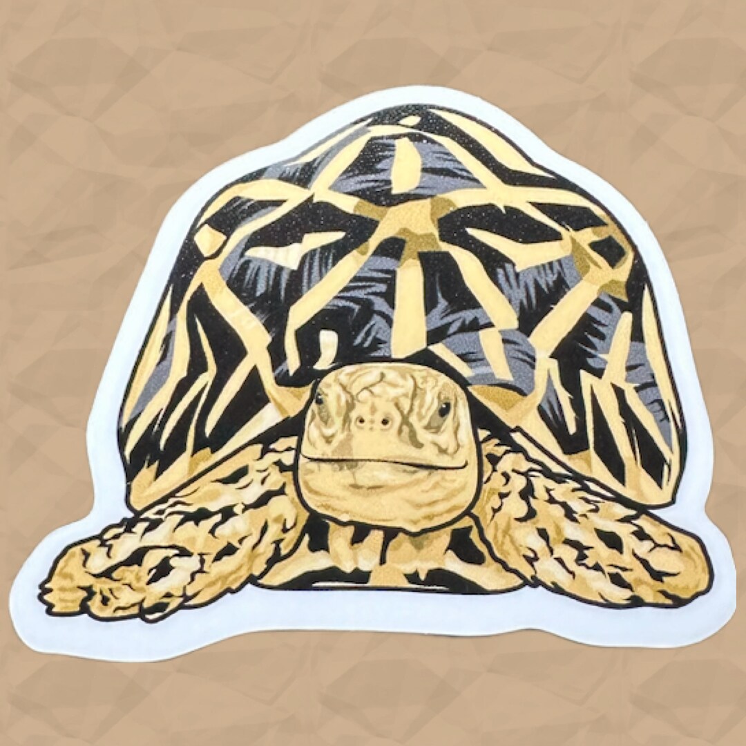 Joyful Tortoise Sticker: Laminated Die-cut Vinyl - Etsy