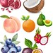 Fruit Clipart Set, High-quality Clipart, Fruits PNG, Clipart Set of ...