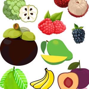 Fruit Clipart Set, High-quality Clipart, Fruits PNG, Clipart Set of ...