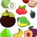 Fruit Clipart Set, High-quality Clipart, Fruits PNG, Clipart Set of ...