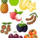 Fruit Clipart Set, High-quality Clipart, Fruits PNG, Clipart Set of ...