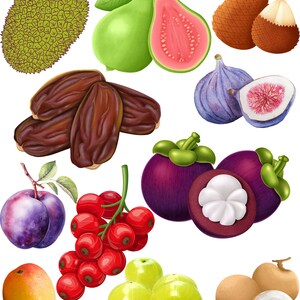 Fruit Clipart Set, High-quality Clipart, Fruits PNG, Clipart Set of ...