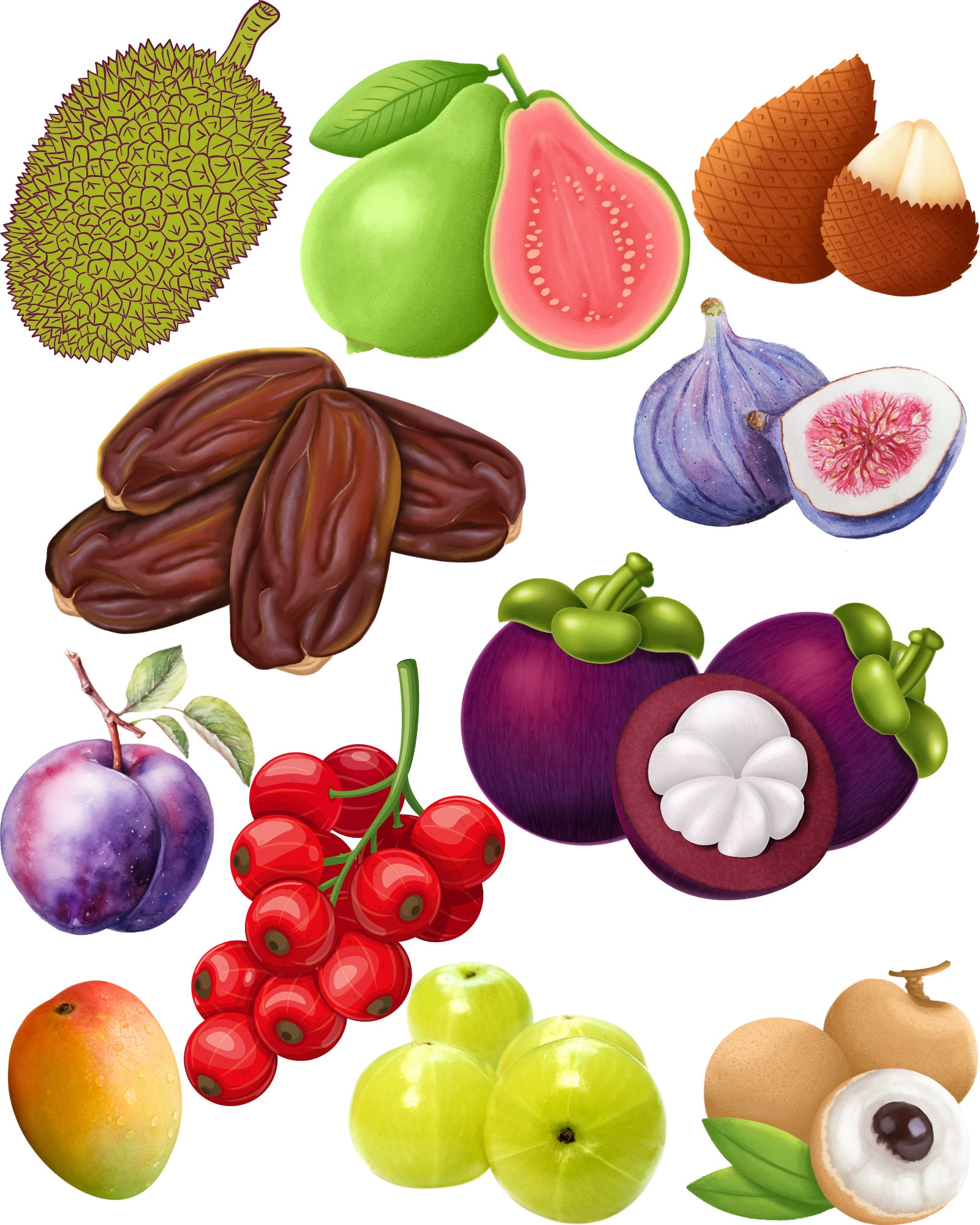 Fruit Clipart Set, High-quality Clipart, Fruits PNG, Clipart Set of ...