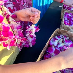 Printable Aloha Spirit Award Certificate for Hawaii Family Vacations ...