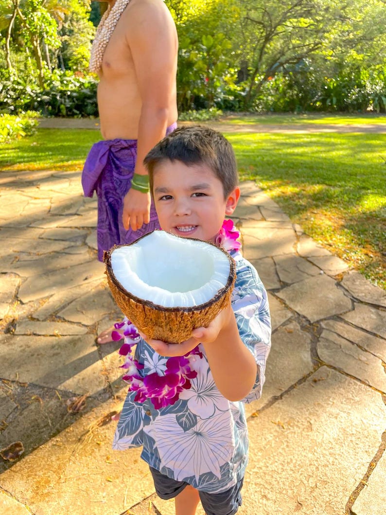 Printable Aloha Spirit Award Certificate for Hawaii Family Vacations ...