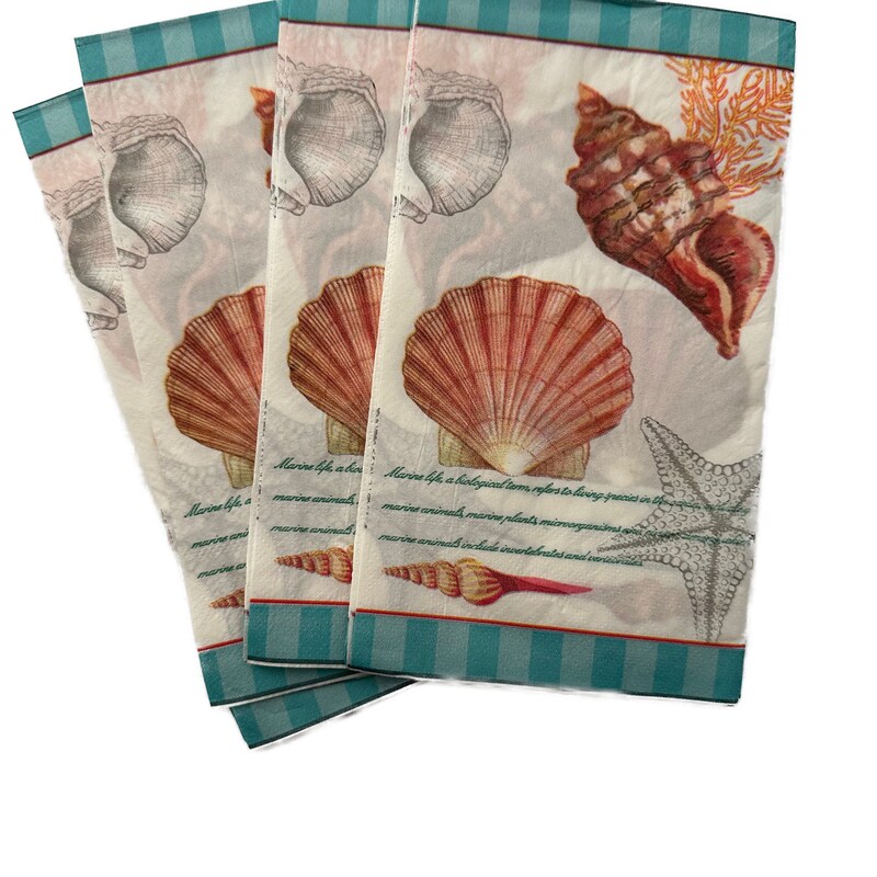 Seashell Decoupage - Etsy